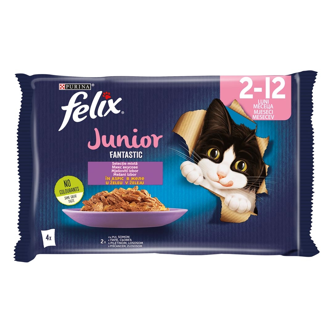 FELIX FANTASTIC Junior, s piletinom u aspiku | Purina HR